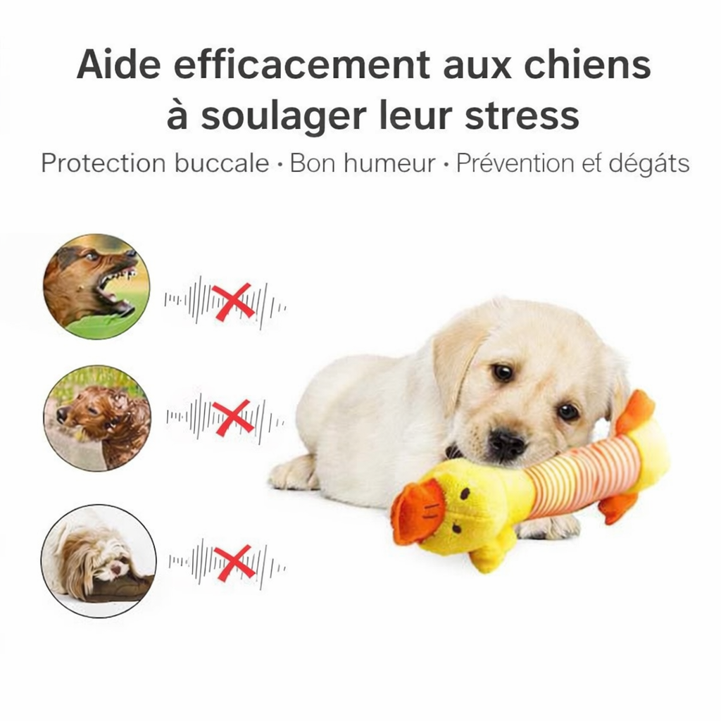 Jouet Peluche Éléphant Couineur pour Chien et Chat | Luxeviapet